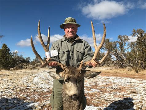 Mule Deer Pictures 2022