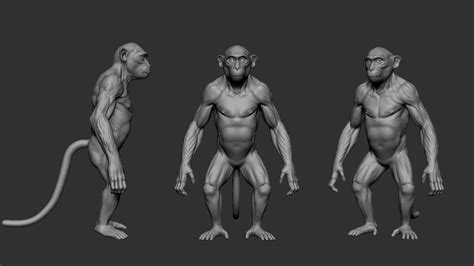 Monkey Topology Uv Map Flippednormals