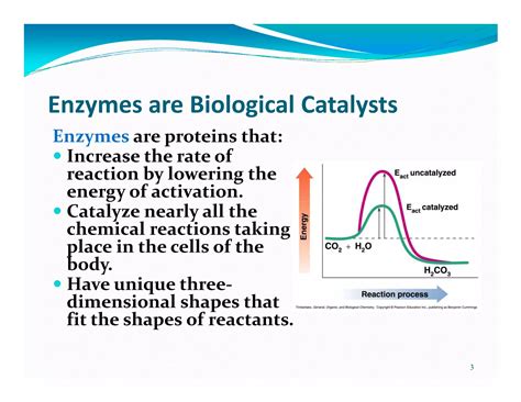 Enzymes Pdf