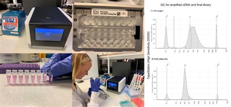 Scilifelab Gothenburg On Linkedin 10x Scrna Sequencing