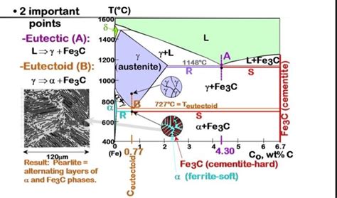 Solved For A 996 Wt Fe 040 Wt C Steel At A Temperature