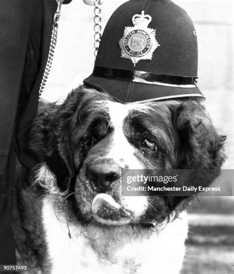 98 Barney Bernard Photos And High Res Pictures Getty Images