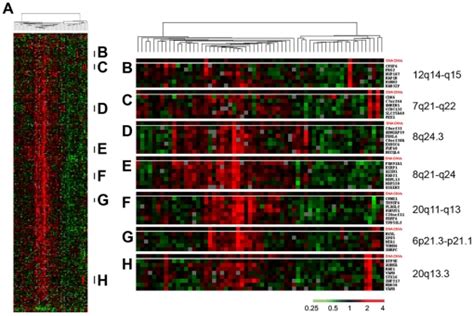 A Hierarchical Clustering The Patterns Of Variation In Expression Of Download Scientific
