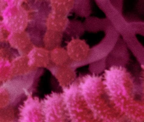 Home University Of Cape Town