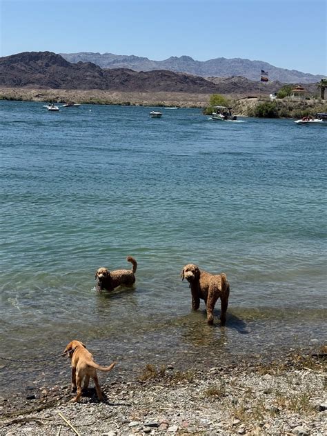 Islander Resort Lake Havasu Islander Resort Lake Havasu