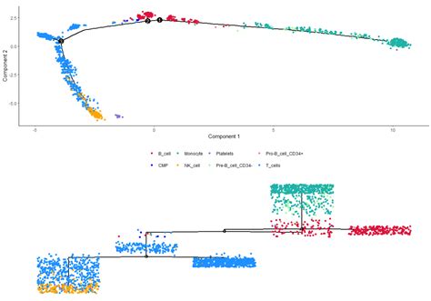 跟着nc学pseudotime Monocle2 拟时序分析 树形图 知乎