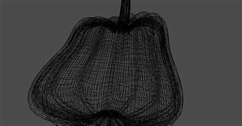 Pumpkins Album On Imgur