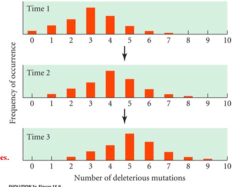 Ch83 The Adaptive Significance Of Sex Flashcards Quizlet