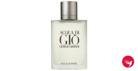 Acqua Di Gio Giorgio Armani Cologne A Fragrance For Men 1996