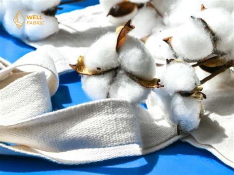 Comparing Rayon Vs Polyester 4 Key Factors To Consider