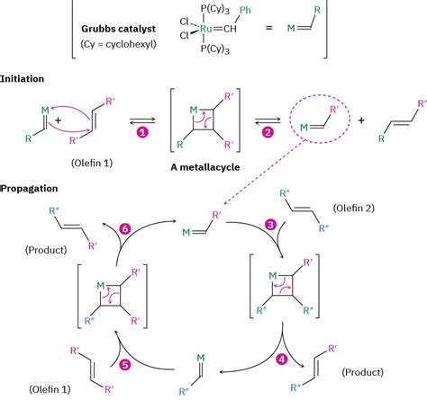31 5 Olefin Metathesis Polymerization Organic Chemistry Openstax