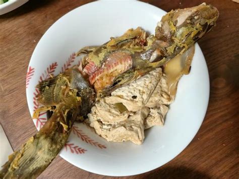 【酱焖嘎鱼图片】榛子很好吃下厨房