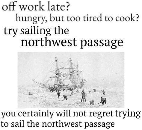 Reintroducing Memes Into The Wild 13 Album On Imgur