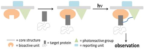Recent Advances In Target Characterization And Identification By