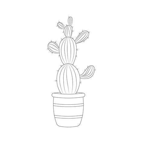 Premium Vector A Drawing Of A Cactus In A Pot