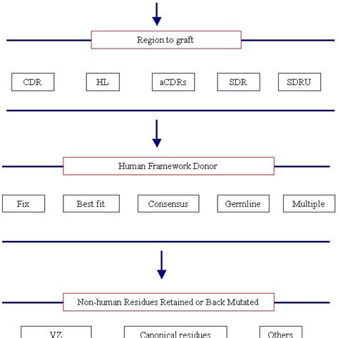 Pdf Humanization Of Antibodies