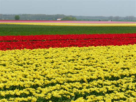 Über Uns Lpv Grüne Umwelt