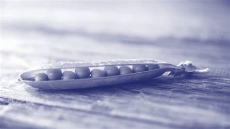 Time For A Pod Structure At Your Agency