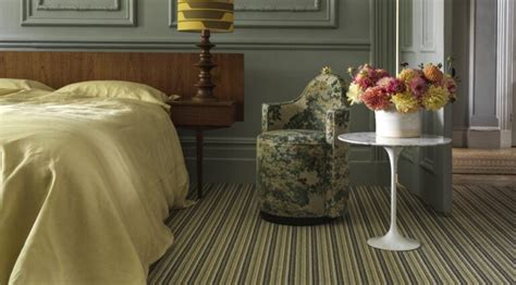 Debunking Moth Myths Do Moths Damage Carpets In Your Home