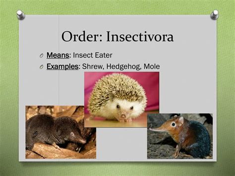 Ppt Wakefield 2014 Powerpoint Presentation Free Download Id 2108861