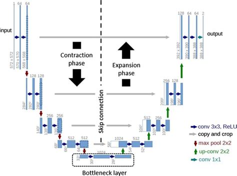 U Net A Convolutional Neural Network Cnn Model Not A Transformer