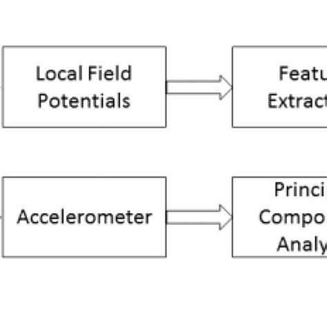 Converting A Triangular Mesh Into A Simplex Mesh Color Figure Online