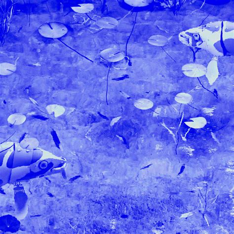 Tidal Signal Film And Media