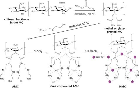 Schematic Representation For The HMC Synthesis Download Scientific Diagram