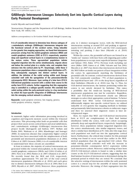 Pdf Gabaergic Interneuron Lineages Selectively Sort Into Specific