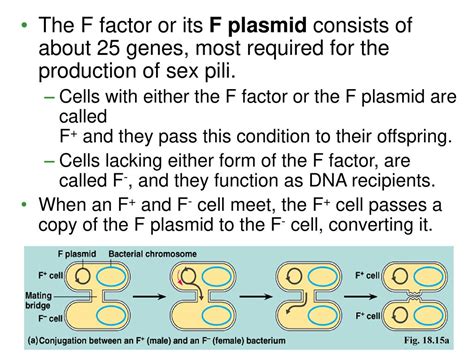 Agenda 1217 Start With Next Slide As Intro Ppt Download