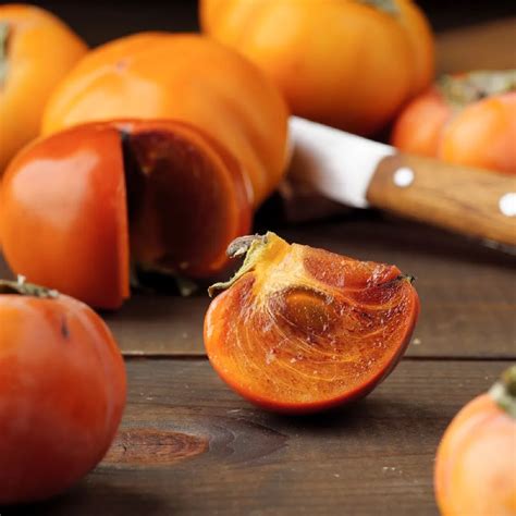 Persimmon Trees For Sale Buying And Growing Guide
