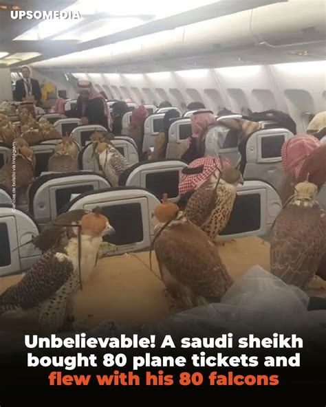 طائــرات مشهد لا يُصدق في طائرة تابعة للخطوط الجوية القطرية رحلة طيران أثارت ضجة على وسائل