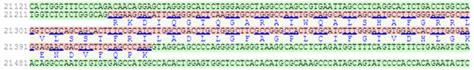 Does Anyone Recognise This Genomeprotein Alignment Visualisation