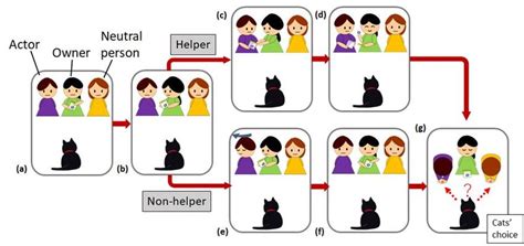 Cats Felis Catus Show No Avoidance Of People Who Behave Negatively To