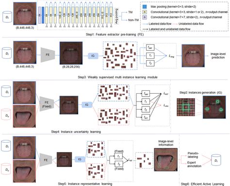 Frontiers Weakly Supervised Multiple Instance Active Learning For Tooth Marked Tongue Recognition