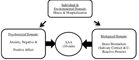 Expanded Biobehavioral Model Adapted From Kang Et Al