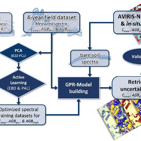Schematic Workflow For Carbon And Biomass Mapping Download