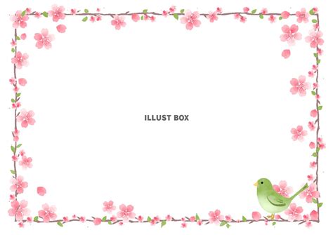 無料イラスト さくらと鶯のフレーム1