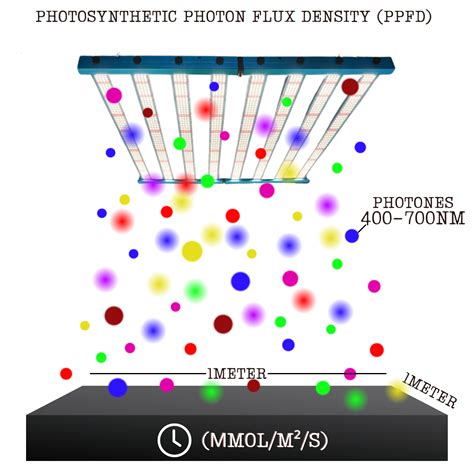 Ppfd What Is That Growfaster