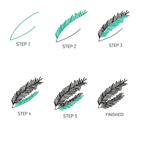 How To Draw A Pine Tree Branch