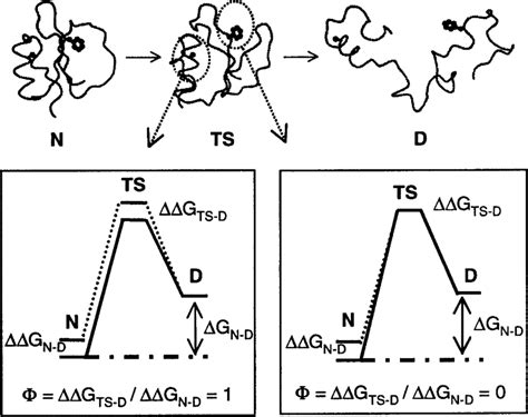 Schematic Representation Of The Protein Engineering Approach And How Download Scientific