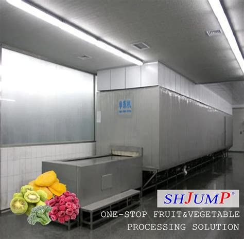 Individual Frozen Fruit Cube Processing Line Machine Factory Price