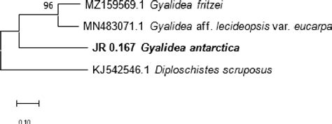 Figure 2 From Dna Barcoding Of Some Lichenized Fungi From James Ross