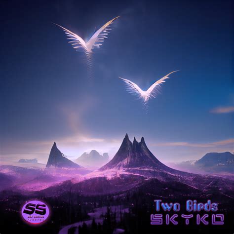 Two Birds Skyko