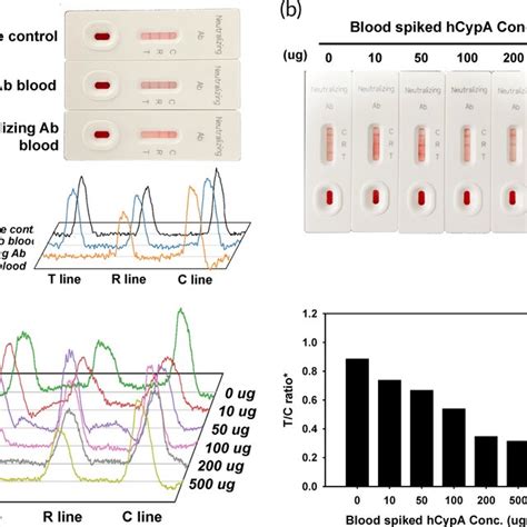 Spr Affinity Analysis Of The Hcypa‐rbd Variants A [hcypa]‐[alpha