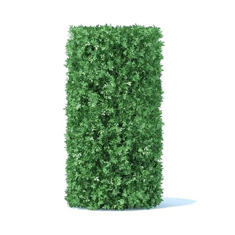 Cylindrical Hedge Modelo 3d Descargar Arbustos On