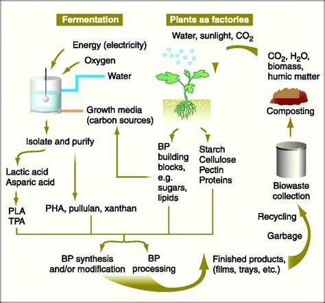 Biodegradable Polymers For The Environment Science