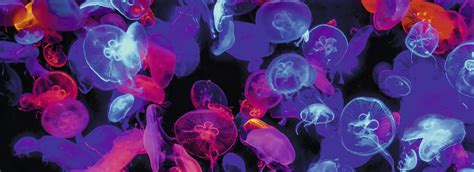 In Der Schwebe Halten Deutsche Apotheker Zeitung