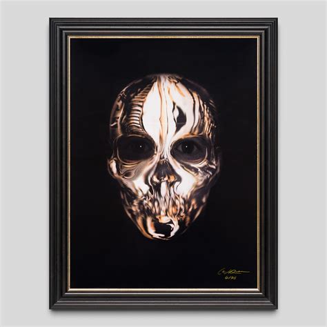 Savage Beauty Gary James Mcqueen