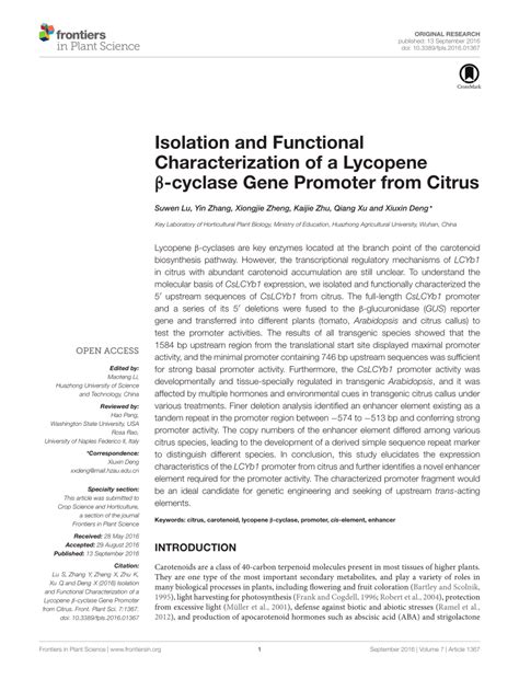 Pdf Isolation And Functional Characterization Of A Lycopene Cyclase Gene Promoter From Citrus